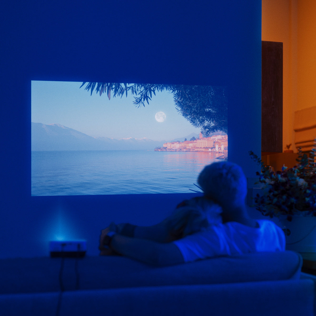 VIEW Projector – TRNDlabs